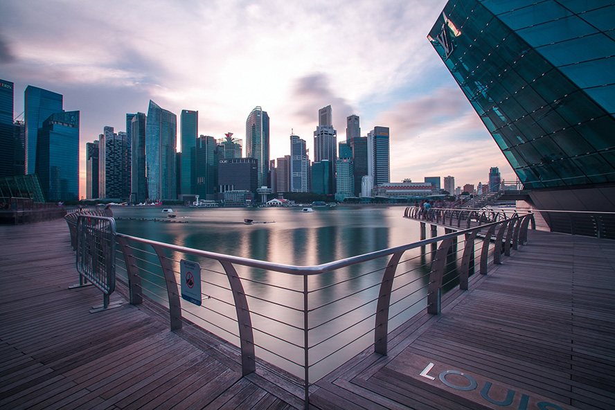 Singapore Immigration Policy: Economic and Social Impact
